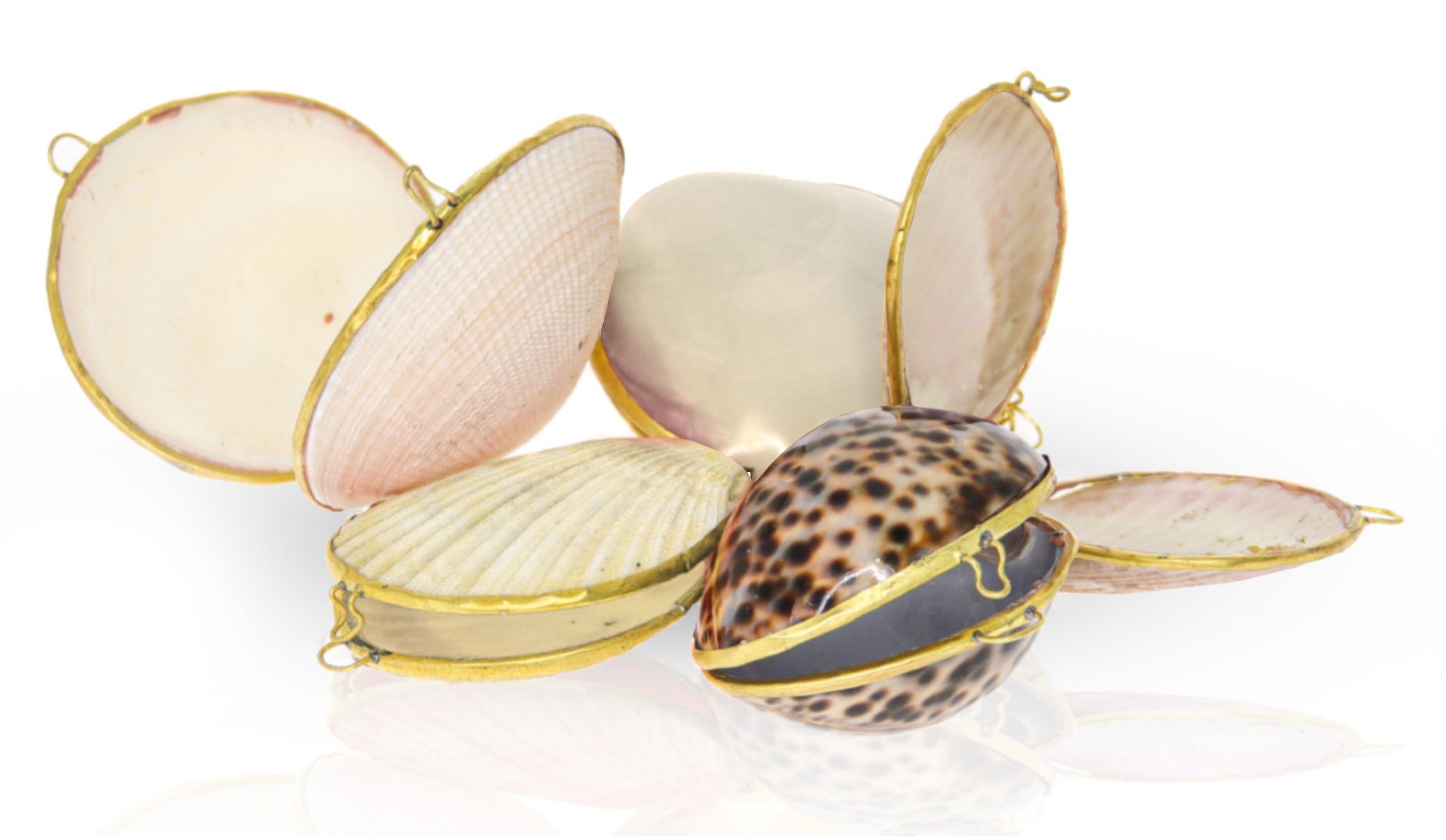 Stash Shell – Headshop.com