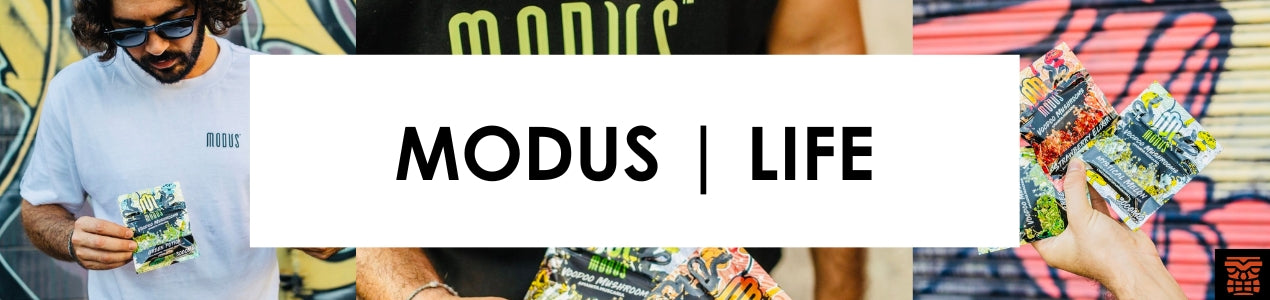 Modus | Gold Series Kratom & Mushroom Gummies & Capsules | Headshop ...