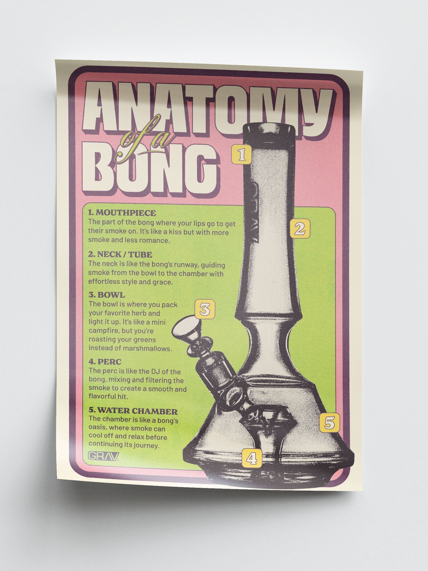 GRAV® Anatomy of a Bong Poster, 16 x 24" – Headshop.com