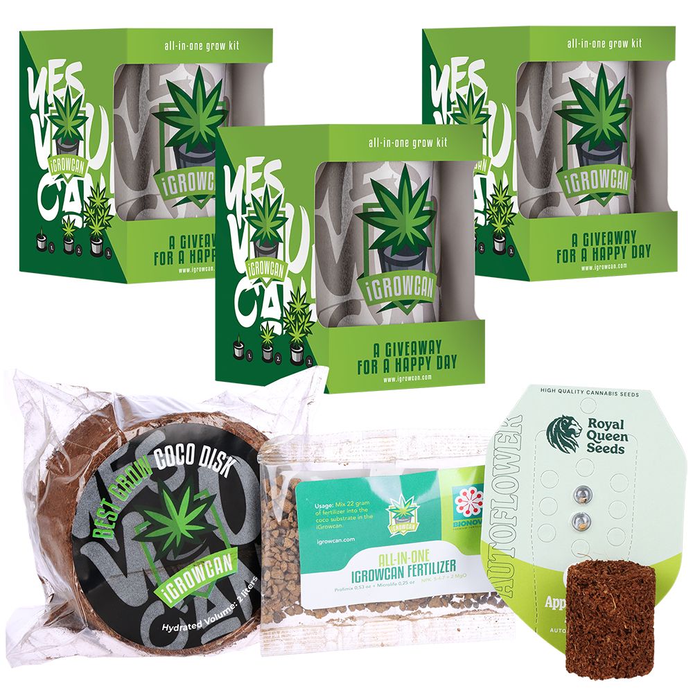 Royal Queen Seeds iGrowCan All-In-One Hemp Grow Kit – Headshop.com