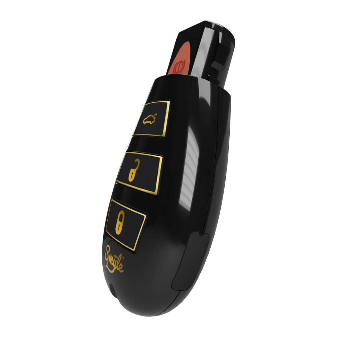 Penjamin Car Key Vaporizer – Headshop.com